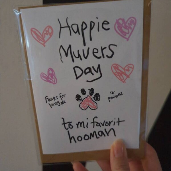 Funny Birthday Card, Friend Birthday Card, Best Friend Card, Fussy ...