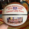Personalized Custom Mini Volleyballs for Coaches' Gifts, Senior Gifts ...
