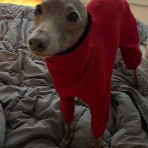 Italian Greyhound Rib Knit Pjs - Etsy