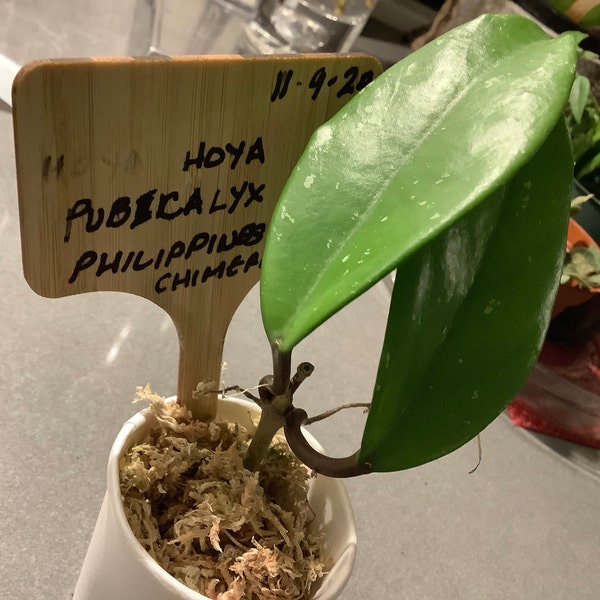 IPhone Lockscreen Classic Ipod Wallpaper Pack [3 HD Images] - Etsy