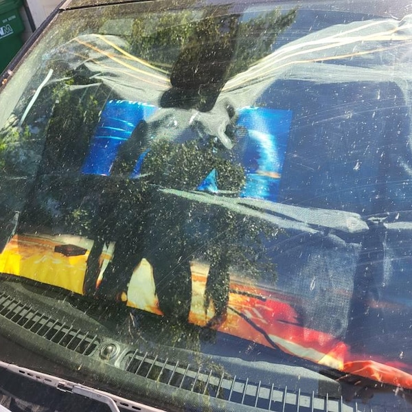 Personalize Car Auto Sun Shade, Personalized Windshield Car Accessories ...