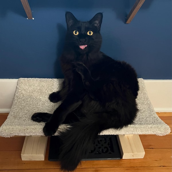 19" Cedar Cat Scratching Post/cedar Post/kitten/wooden Cat Scratcher ...