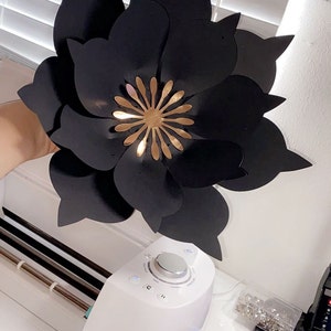 100 Tarot Oracle Coloring Pages, Tarot for Adults, Tarot for Beginners ...