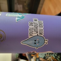 Stop Playing With Me, Sticker, Waterproof Sticker, Hydro Flask Sticker ...