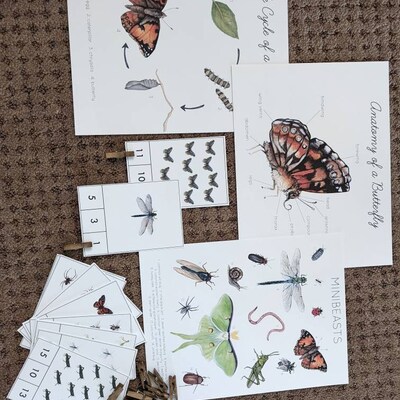 Minibeast Nature Study Vol. 1 - Etsy