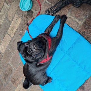 Universal Dog Mat, Dog Crate Mat, Outdoor Dog Mat, Personalized Dog Pad ...