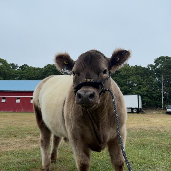 Custom Cattle Embroidered Sweatshirt, Custom Farm Logo Hoodie ...