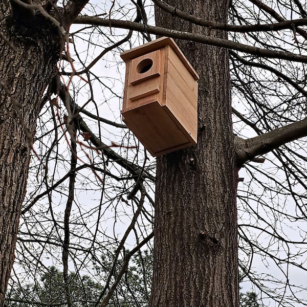 Large Squirrel House, Squirrel House, Cedar Squirrel House, Squirrel ...