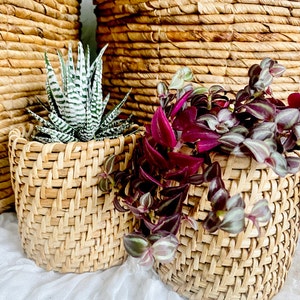 Shell Rattan Bedside Table/storage Basket - Etsy