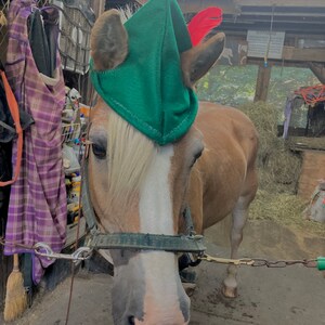 Dragon Slayer Horse Chanfron Face Armor in Silver Medieval | Etsy