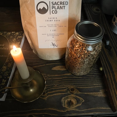 Sacred Fig Tree Seeds Bodhi Tree Seeds Pippala Tree Seeds Peepal Tree ...