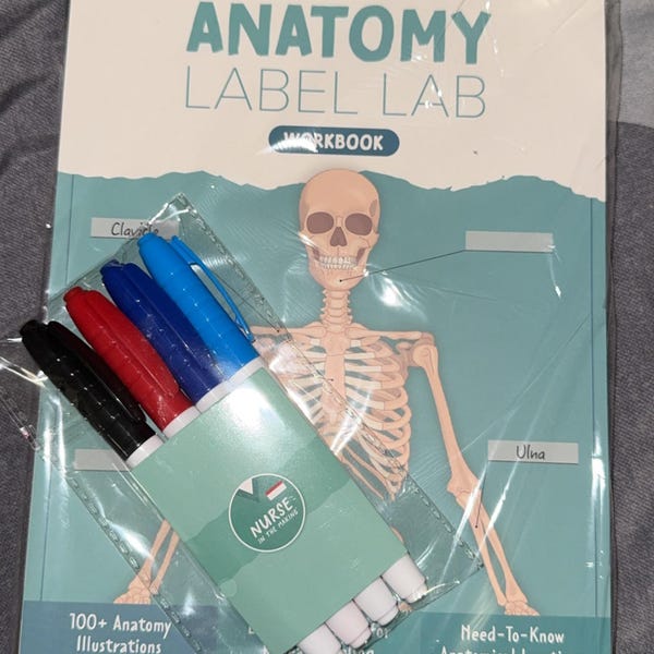 Anatomy Label Lab Workbook - Etsy