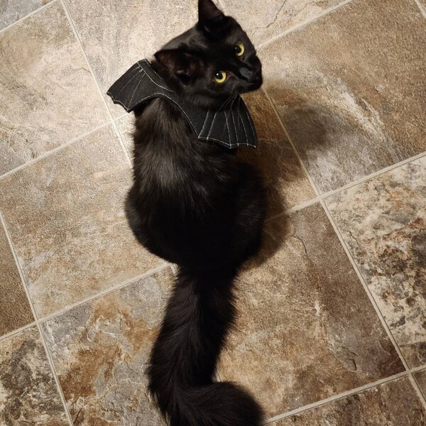 Cat Bat Wing Costume Cat Apparel / Clothing Pet - Etsy