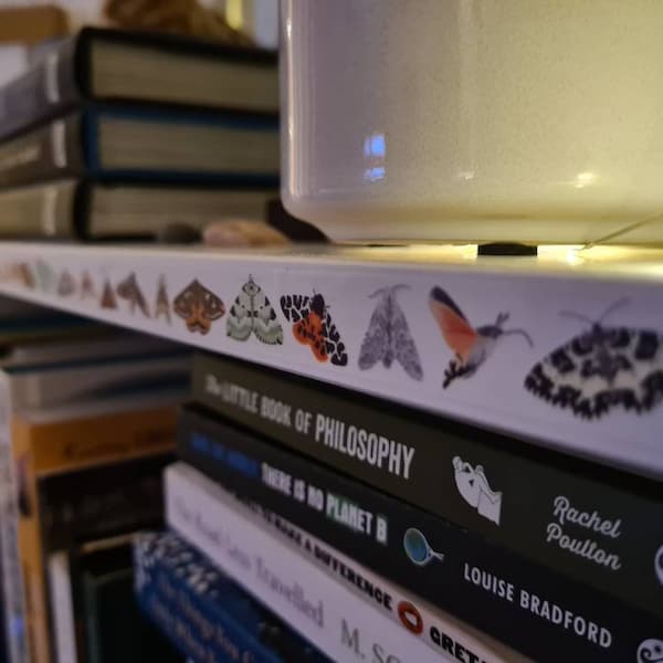 British Moths Washi Tape - Bullet Journal Tape - Eco Friendly Tape ...