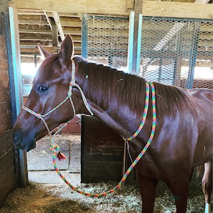 Rope Halter & Mecates Natural Horsemanship Hackamore 21 - Etsy