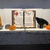 The Grand High Witch Formula 86 Delayed Action Mouse-maker Spell Book ...