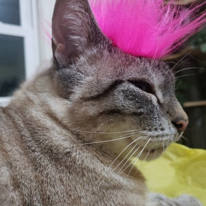 Cat Mohawk - Etsy