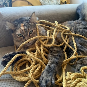 My Nawashi Rope Oil - Etsy