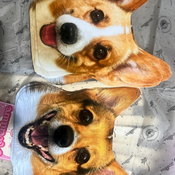 Bridal Wedding Veil Last Rodeo Bachelorette Bridal Shower Gift ...