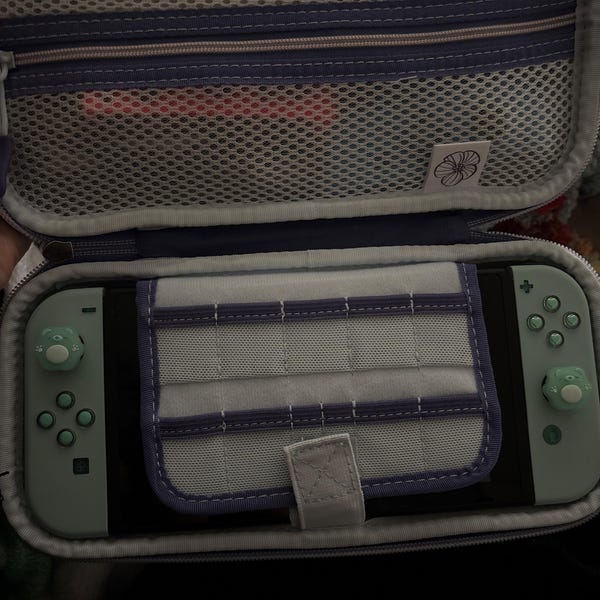 Retro Gameboy DMG-01 Style Custom Switch Lite - Etsy