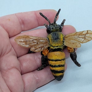 Oyster Shell Silicone Mold by Scott Clark Woolley - Etsy