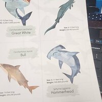 3D Model GIZA Great Pyramids Ancient Egypt Paper Diorama Model ...