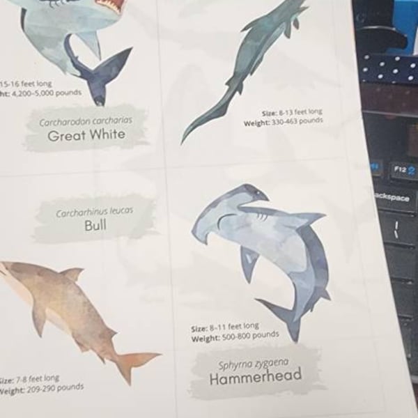 CANADA 3D Paper Model CN Tower Landmark Toronto Ontario Diorama W ...