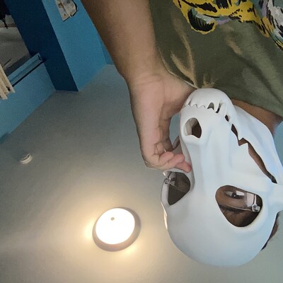 Toony Wolf Skull Mask Movable Moving Hinge Jaw 3D Printed Skulldog Bone ...