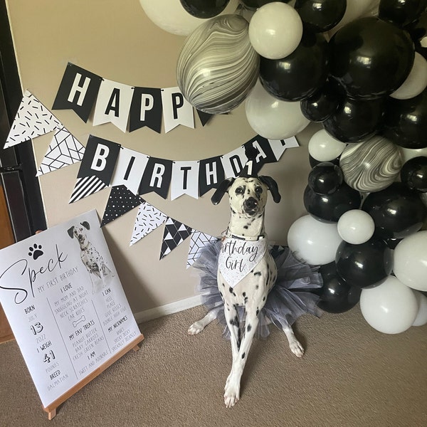 Black and White Birthday Party Decoration, Monochrome Balloon Garland ...