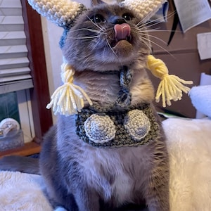 Brunhilde, Vikings, Valkyries, Wagner Opera, Hats for Cats, Pet Hats ...