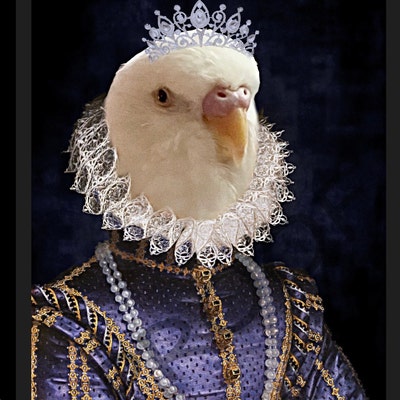 Renaissance Dog Portrait,admiral Dog Canvas,general Dog Costume,custom ...