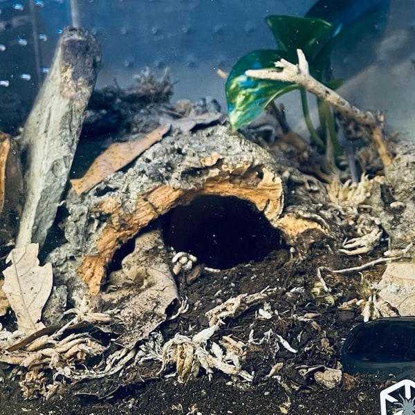 URINE SAMPLE 25-500 Pack Stickers Gag Prank Sticker Decal Medical Label ...