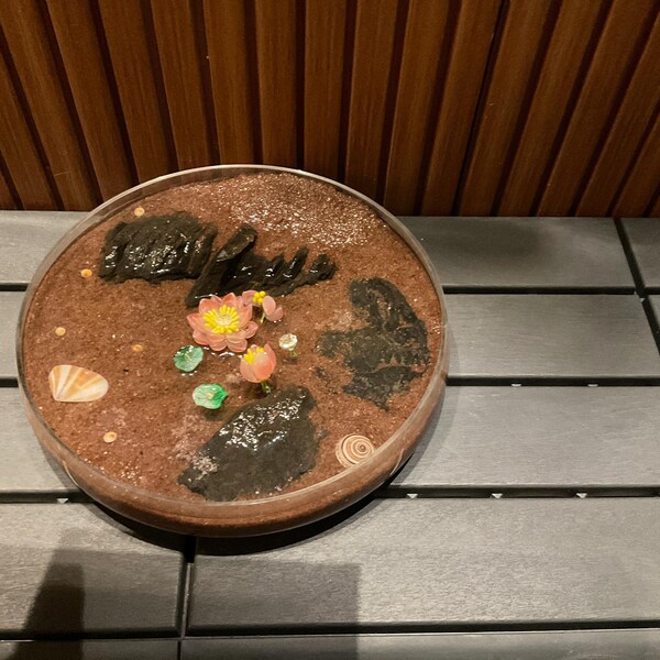 Handcrafted Needle Felted Hedgehog Reading Book - Charming Woolen ...