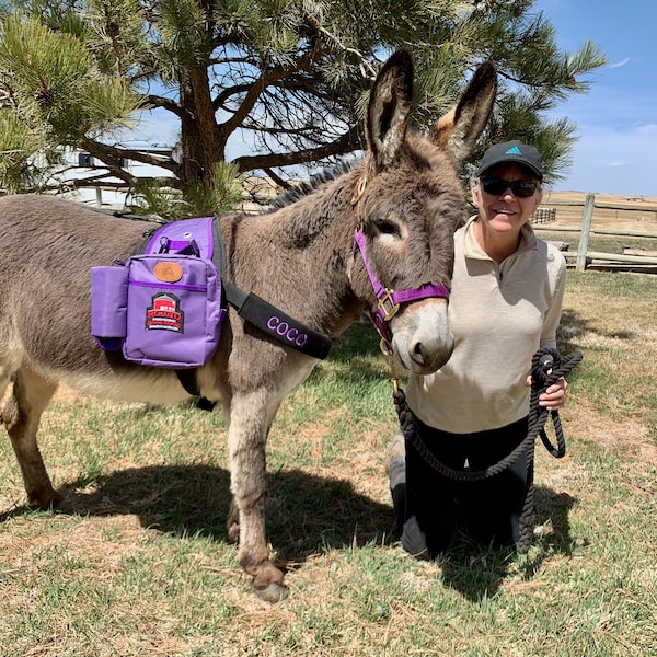 Miniature Horse and Donkey Backpacks - Custom Patches and Accessories ...
