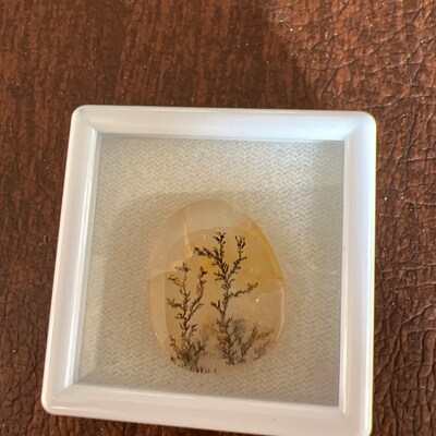 Stromatolite-microbialite Puy De Dôme France Display Specimen 11x9 Cm ...