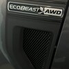 Gel Coated (domed) FORD Ecobeast AWD or Twin Turbo AWD Emblem Overlay ...