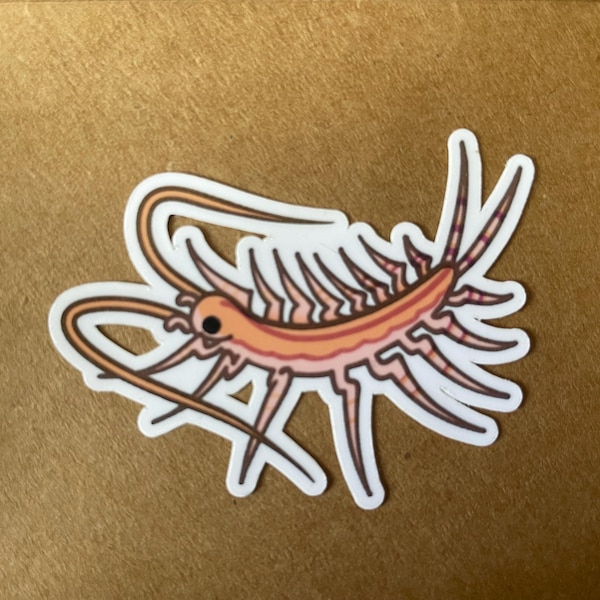 Millipede + Centipede Stickers!! Ivory Millipede + House Centipede ...