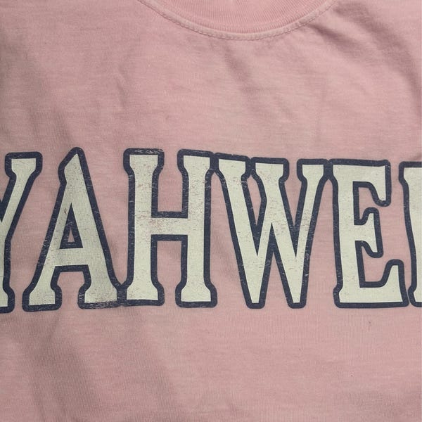 Custom Football Mascot Shirt, Comfort Colors Distressed Team Spirit Tee ...