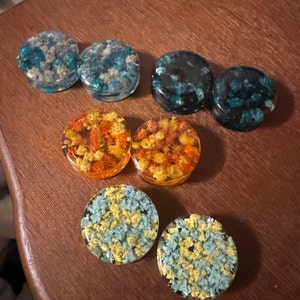 Real Moss Transparent Mushroom Plugs, Nature Tunnels, Real Plant ...