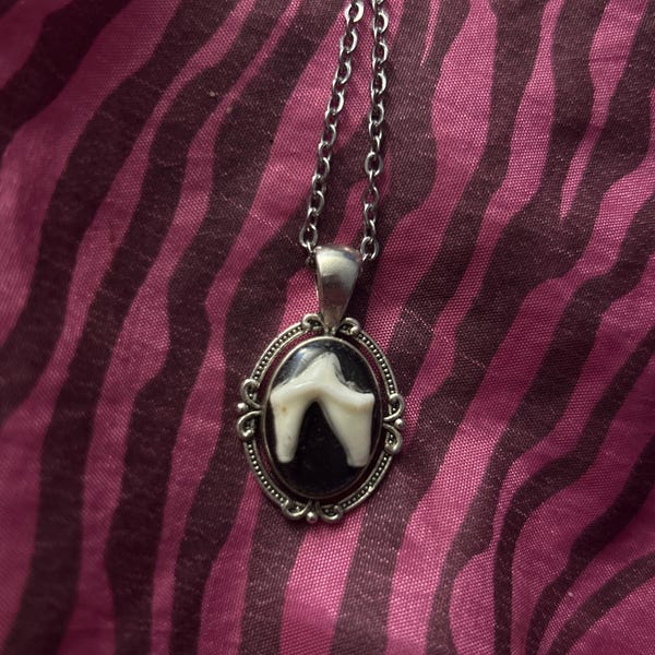 Cameo Tooth Necklace Real Bone Jewelry Baroque Gothic Taxidermy Vulture ...