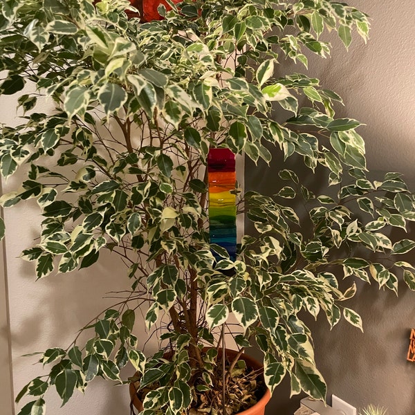Rainbow Glass Garden Art - Etsy
