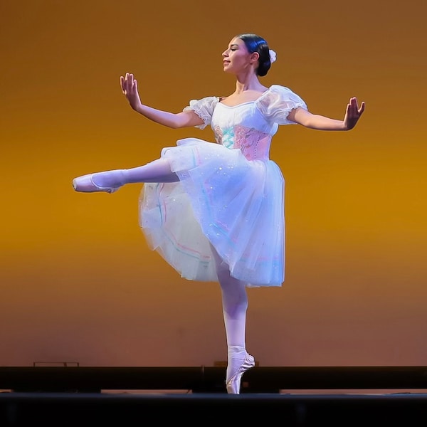 Pink Dew Drop Fairy Ballet Costume - Etsy