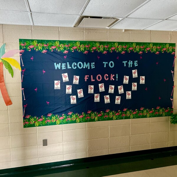 Back to School Bulletin Board Kit || Flamingo Bulletin Boards ...
