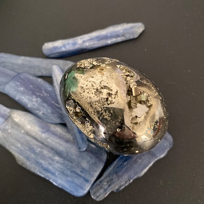 Rare Piece of Pacific Fission Worm Colony, False Brain Coral Rock ...