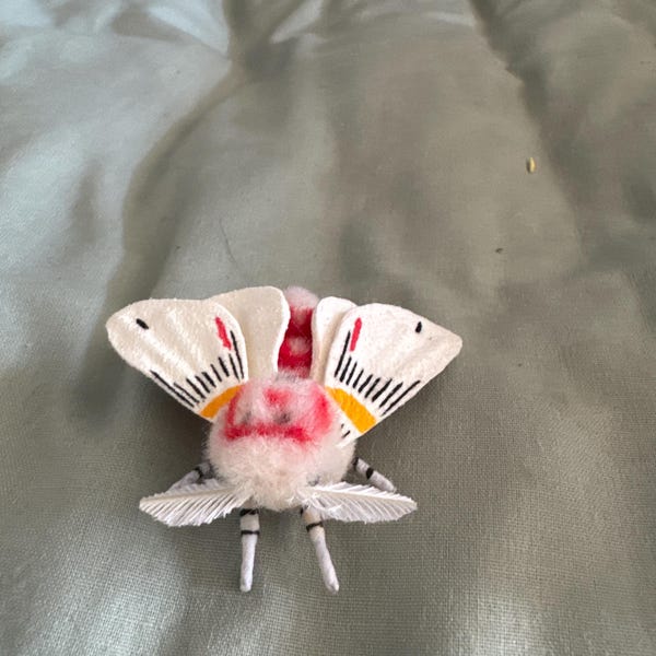 Hercules Moth , Needle Felted, Moth Figurine, Decoration, Handmade ...