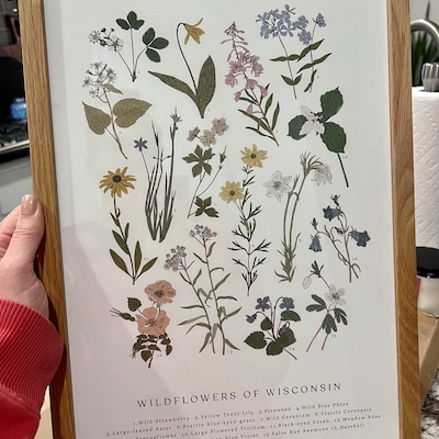Wildflowers of Wisconsin, Vintage Flower Print, Vintage Floral Print ...