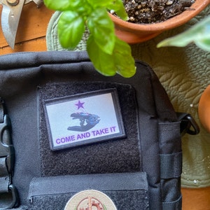 Do Not Pet the Fart Squirrels Morale Patch Hook and Loop - Etsy