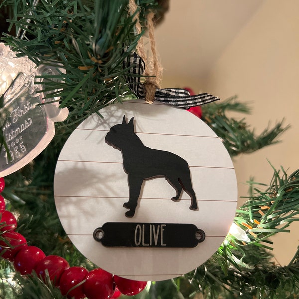 Bearded Dragon Farmhouse Christmas Ornament Lizard Gift for Lizard ...