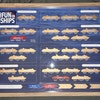 DCL Cruise Door Magnets - We've Sailed on These Ships Magnet Pack ...