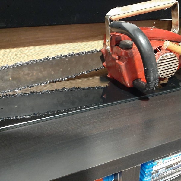 Roger Rabbit Pistol With Bullets and Case - Etsy